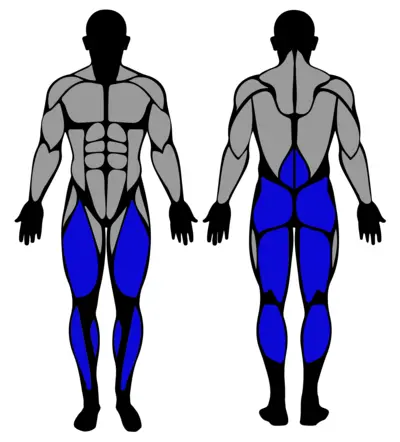 BeneFit Guide - 90 Degree Box Jumps